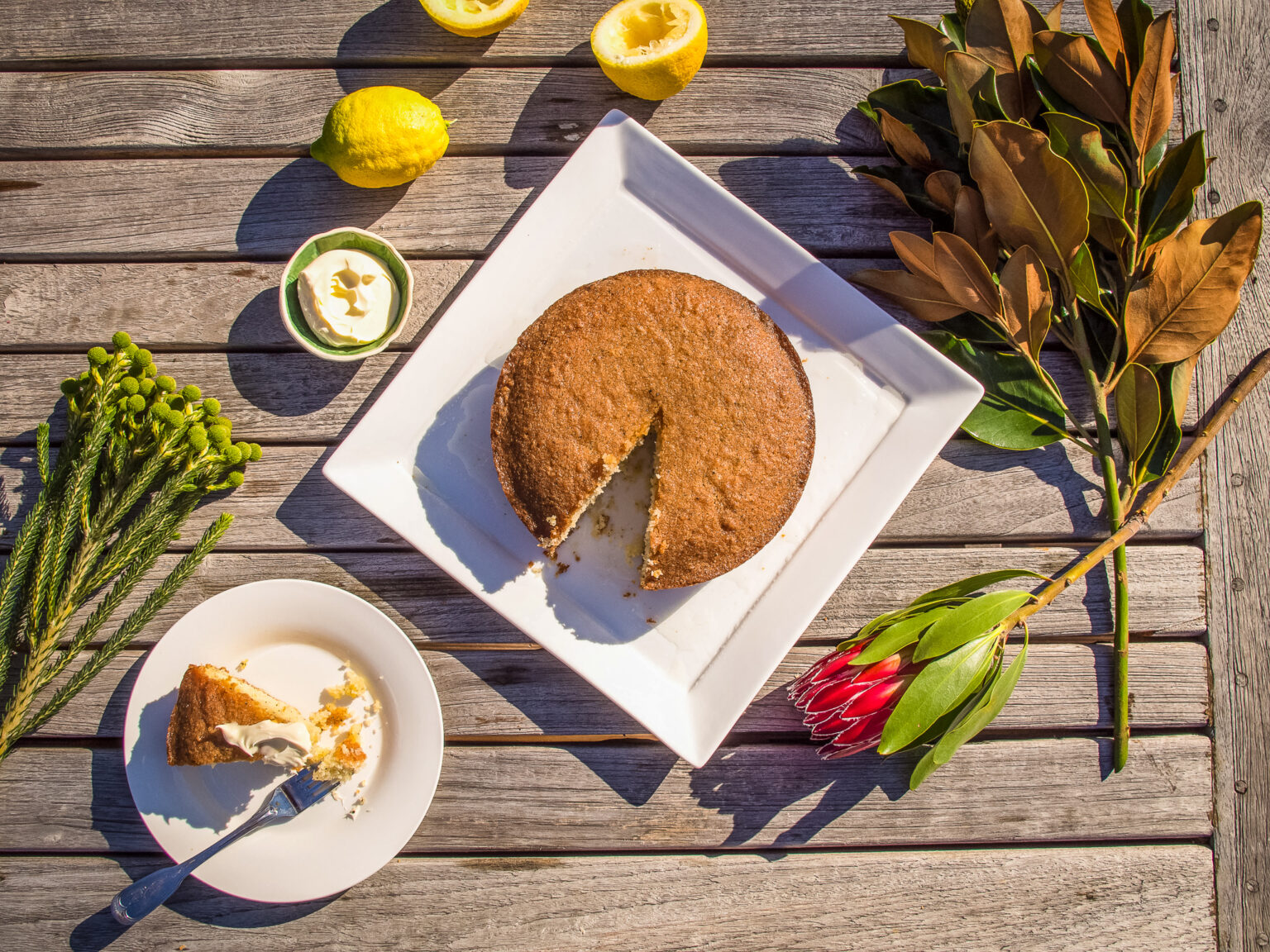 Six Seasons: Lemon Myrtle Coconut Cake – peppermint magazine