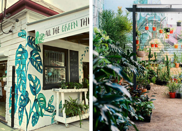 Introducing the Peppermint Sustainable Shopping Guides: Brisbane ...