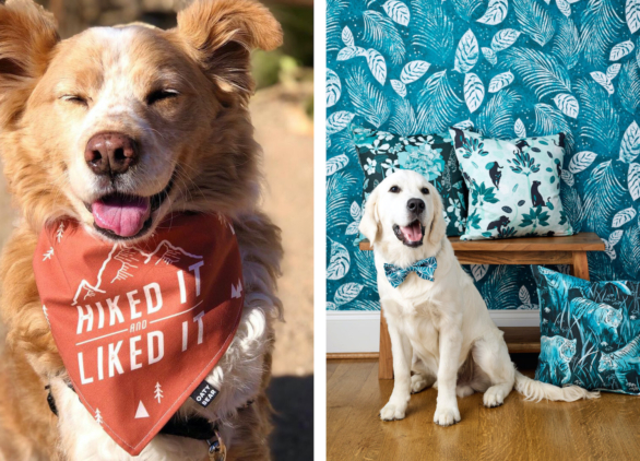 It's a Dog's Life! Some of Our Fave Sewing Patterns for Pooches ...
