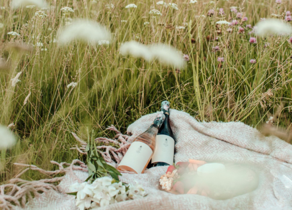 Drink Responsibly This Festive Season with These 10 Sustainable Wine ...