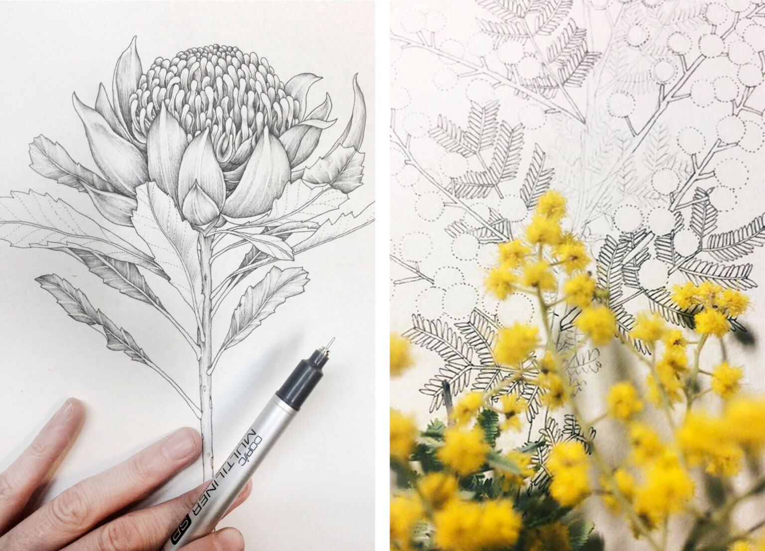 Art with Heart: Edith Rewa Barrett Is the Artist Behind Your Favourite ...